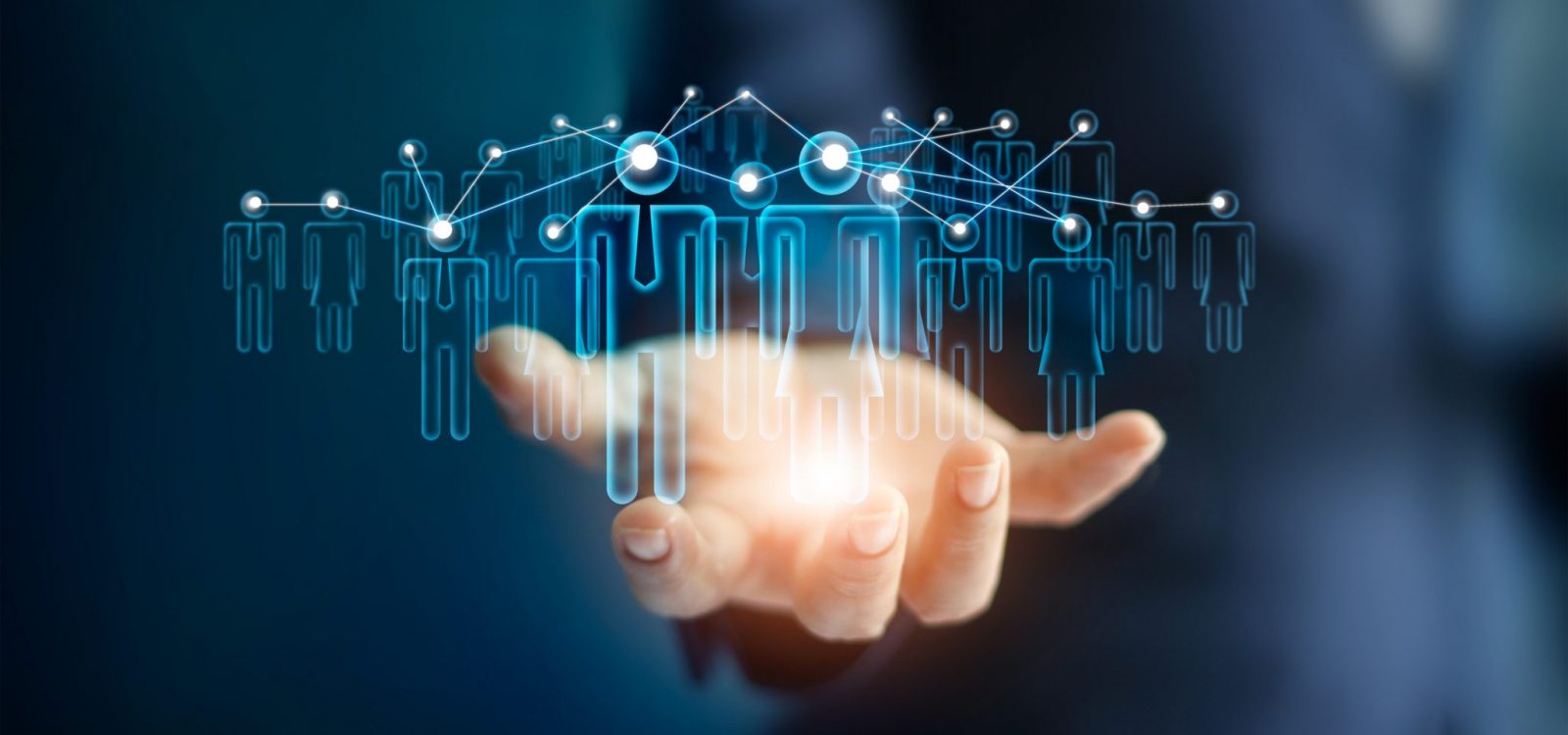 Tammina – Info Tech