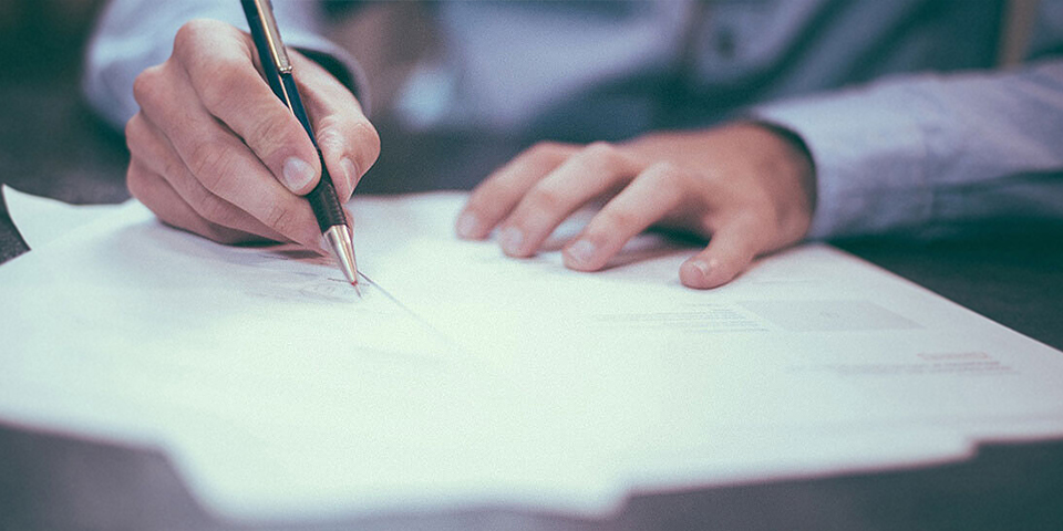 Tammina – Info Tech